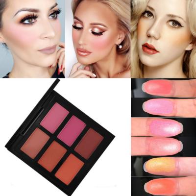 China Pink Face Makeup Blush Cosmetics Contour Palette For Cheek 6 Color for sale