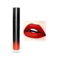 China Sexy Soft Lip Makeup Products Waterproof Matte Velvet Pigment Long Lasting Liquid Lipstick for sale