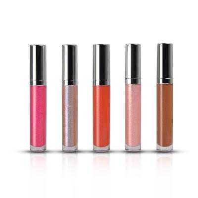 China Moisturizer Lip Makeup Products Cosmetics Matte Lipgloss 3 Years Warranty for sale