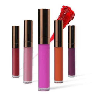 China Beautiful Lip Makeup Products Liquid Lip Gloss 20 Colors Waterproof 3 Years Warranty for sale