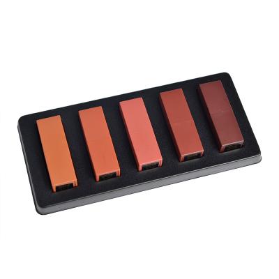 China 5 Colors Highly Pigmented Lipstick , Makeup Long Lasting Lip Gloss Waterproof for sale