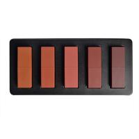 China 5 Color Lip Makeup Products Matte Cream Lipstick Set High Pigment Waterproof for sale