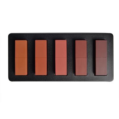 China 5 Color Lip Makeup Products Matte Cream Lipstick Set High Pigment Waterproof for sale