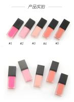 China Mineral Ingredient Face Makeup Blush High Pigment Long Lasting 5 Colors Easy To Carry for sale