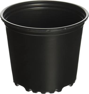 China Eco Friendly Dia 25cm*30cm Garden Plastic Plant Pots For Parlor Palm for sale