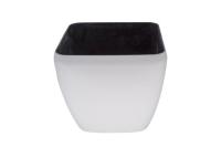 China Durable Lightweight Square Plastic Pots 4 Inch Square Greenhouse Pots for sale