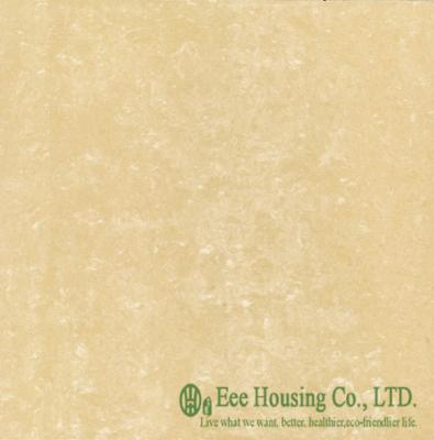 China 600mm * 600mm Double Loading Polished Porcelain Floor Tile, Polished floor tiles for sale for sale