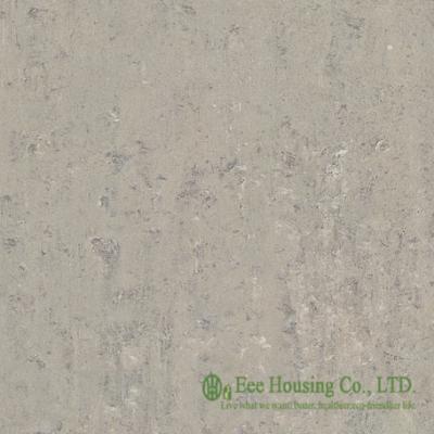 China 600mm * 600mm Double Loading Polished Porcelain Floor Tile, Polished floor tiles for sale for sale