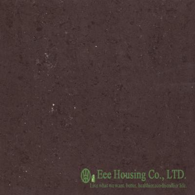 China 600mm * 600mm Double Loading Polished Porcelain Floor Tile, Polished floor tiles for sale for sale