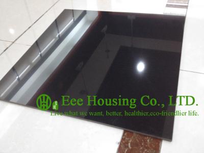 China Black Color Polished Porcelain Tile For Floor And Wall, 600mm * 600mm Black polished tile for sale