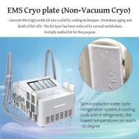 China EMS Coolsculpting Cryolipolysis Machine Cryotherapy Cryo Machine For Fat Freezing for sale