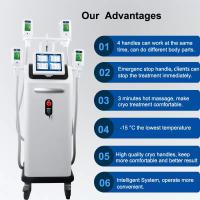 China Professional Fat Freezing Cryolipolysis Machine Slimming Weight Loss Fat Reduction for sale