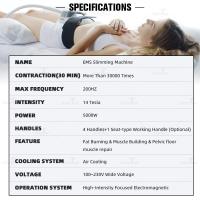 China EMS Fat Burning Machine Electromagnetic Muscle Stimulation Body Shaping for sale