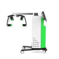 China Slim Master 10d EMerald Lipo 532nm Diode Green Laser Body Slimming Fat Removal No Pain Cellulite Reduce Machine for sale