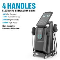 China Ce / Fda Big Screen Professional Ems Muscle Stimulator Handsome Increase Building Pelvic Floor Training Machine for sale