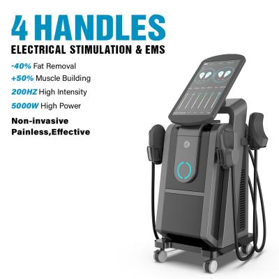 China Ce / Fda Big Screen Professional Ems Muscle Stimulator Handsome Increase Building Pelvic Floor Training Machine for sale