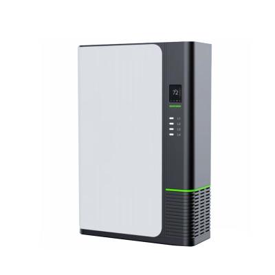 China OEM Wall Mounted LiFePO4 Home Energy Storage Battery With Built In Smart BMS For Solar Panel Integration for sale