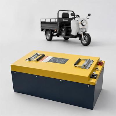 China 48V 60Ah LiFePO4 Battery Pack With Built In BMS 3000 Cycles For E Trike Cargo Tricycle for sale