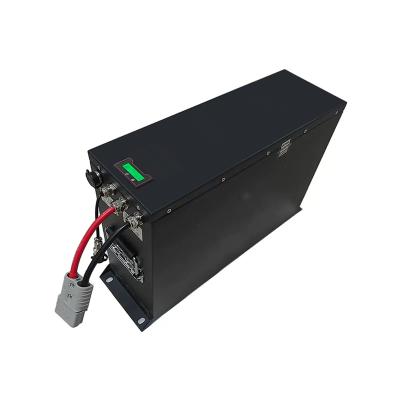 China Custom 24V 48V LiFePO4 Battery Pack for Industrial AGV Robot CAN Bus BMS OEM ODM for sale
