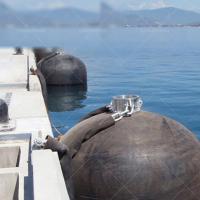 China Submarine Fenders Marine Fenders Custom Size Available Top Level Natural Rubber ISO17357:2014 Standard for sale