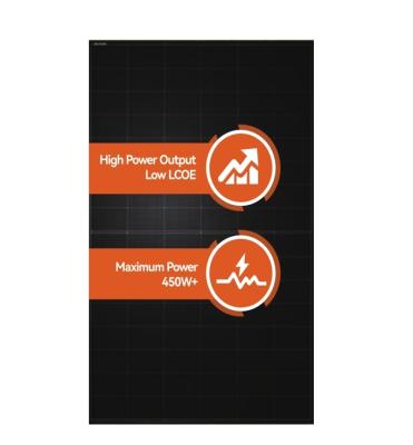 China Discount Price  410w 430w 450w Solar Panel TW Solar Panel Full-black Bifacial TWMNH 48HC430-450W N-type Half-cell Solar Panels for sale