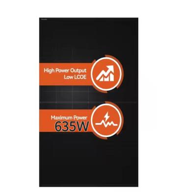 China TW High Quality  Tongwei  Photovoltaic Solar Panel 615W 620W 625W 630W 635W  Solar Panels Topcon N-type Half-cellBifacial Module for sale