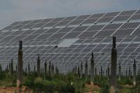 China Jinko 550W 540W 530W 555W Tiger Photovoltaic Solar Panels for sale
