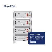 China Deye Battery SE-G5.1 Pro-B LiFePO4 51.2V 100Ah 5.12kwh Energy Storage Deye Lithium Batteries Bateria Lithium LiFePO4 for sale