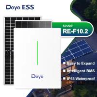 China Deye RW-F10.2 LiFePO4 Lithium Ion Energy Storage Battery Wall-Mounted Solar Power System with Lithium Batteries for sale