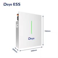 China Deye RW-F10.2 LiFePO4 Lithium Ion Energy Storage Battery Wall-Mounted Solar Power System with Lithium Batteries for sale