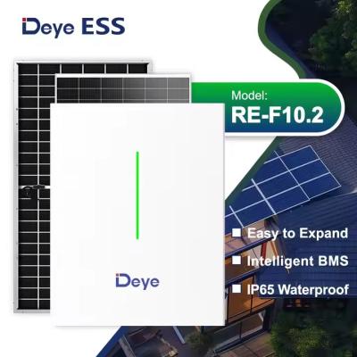 China Deye RW-F10.2 LiFePO4 Lithium Ion Energy Storage Battery Wall-Mounted Solar Power System with Lithium Batteries for sale