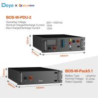China Deye BOS-W 2025 Best Solar Battery Packs Home Energy Storage System New Lithium Storage System for sale