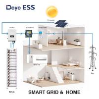 China Deye BOS-G 5.12Kwh 51.2V 100AH 20kWh 30kWh 40kWh 50kWh 60kWh 100KWH 200KWH Deye Batterie Lithium LiFePO4 Battery for sale
