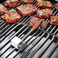 China Defrosting Steaks and Poultry Made Easy with 36-Blade Stainless Steel Meat Tenderizer for sale
