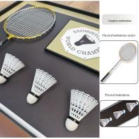 China High Resolution Printing Modern Badminton Gymnasium Mural for Sports Venue Decoration for sale