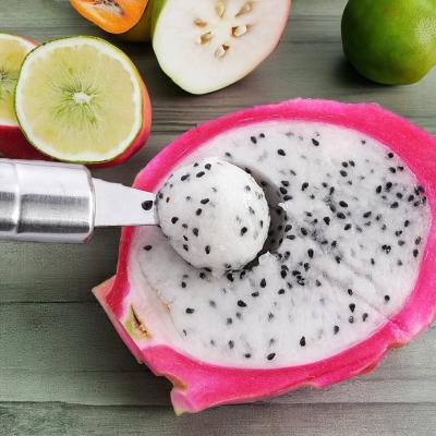 China Effortlessly Cut Vegetables and Carve Fruits with this Stainless Steel Kitchen Utensil Se for sale