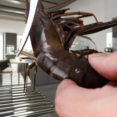 China Vegetable Choppers Stainless Steel Shrimp Knife Peeler for Fish and Shrimp Preparation for sale