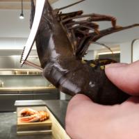 China 1 Piece Ergonomic Stainless Steel Fish and Shrimp Knife Must-Have for Seafood Lovers for sale