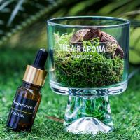 China Customized Color Luxury Gift Packaging 100ml Glass Bottle Moss Diffuser for Home Fragrance for sale