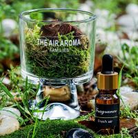 China 100ml Glass Scented Oil Moss Diffuser for Elegant Home Decor Nature-Inspired Perfume Gift for sale