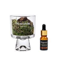 China 100ml Nature-Inspired Moss Diffuser Creative Scented Oil Diffuser for Keeping Air Fresh for sale