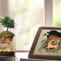 China Elegant Clay Ceramic Tabletop Greenhouses Lamp for Moss Terrariums in Modern Design for sale