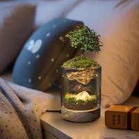 China Elegant Clay Ceramic Tabletop Greenhouses Lamp for Moss Terrariums in Modern Design for sale