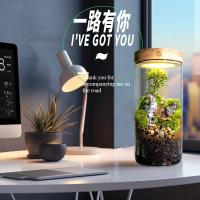 China Moss Bonsai Floor/Shopping Mall Display with Clay Ceramic Glass Greenhouse Large Size for sale