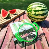 China Stainless Steel Fruit Slicer Mutifuction Cutting Slicer for Super Markets Bamboo Handle for sale