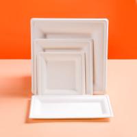 China 7/9/10 Inch Disposable Bagasse Sugarcane Dinner Plates for Wedding Birthday Parties for sale