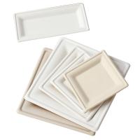 China 7/9/10 Inch Disposable Bagasse Sugarcane Dinner Plates for Wedding Birthday Parties for sale