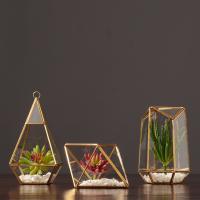China Elegant Home Decor Nordic Design Glass Display Box with Brass Edging and Wooden Base for sale