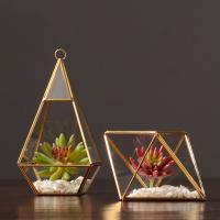 China Nordic Eco-friendly Wall-Mounted Glass Display Box with Brass Margin and Wooden Base for sale