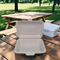 China Biodegradable Disposable Food Container Durable Square Plastic Lunch Boxes with Lids for sale